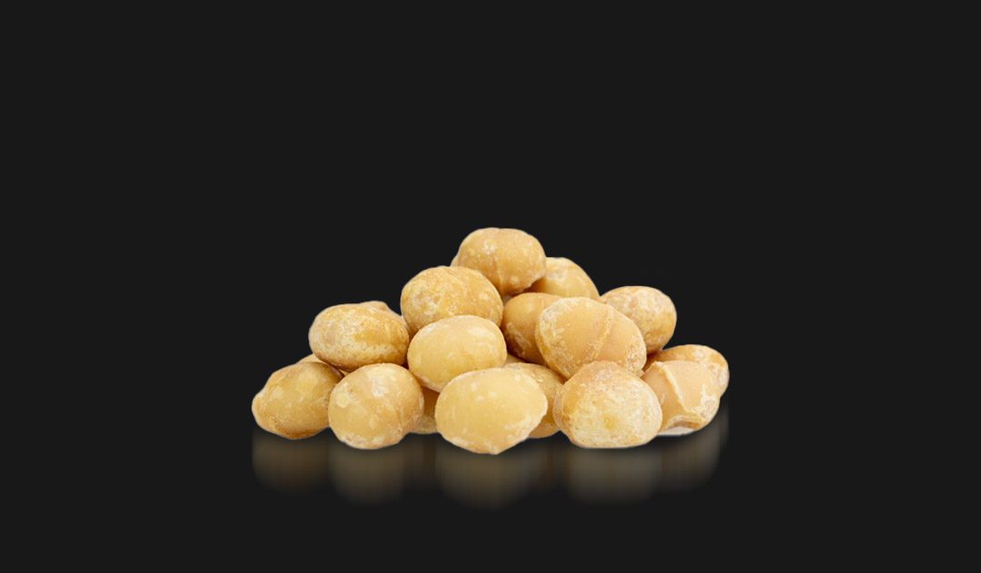 Macadamia nuts - frutossecosauro.es